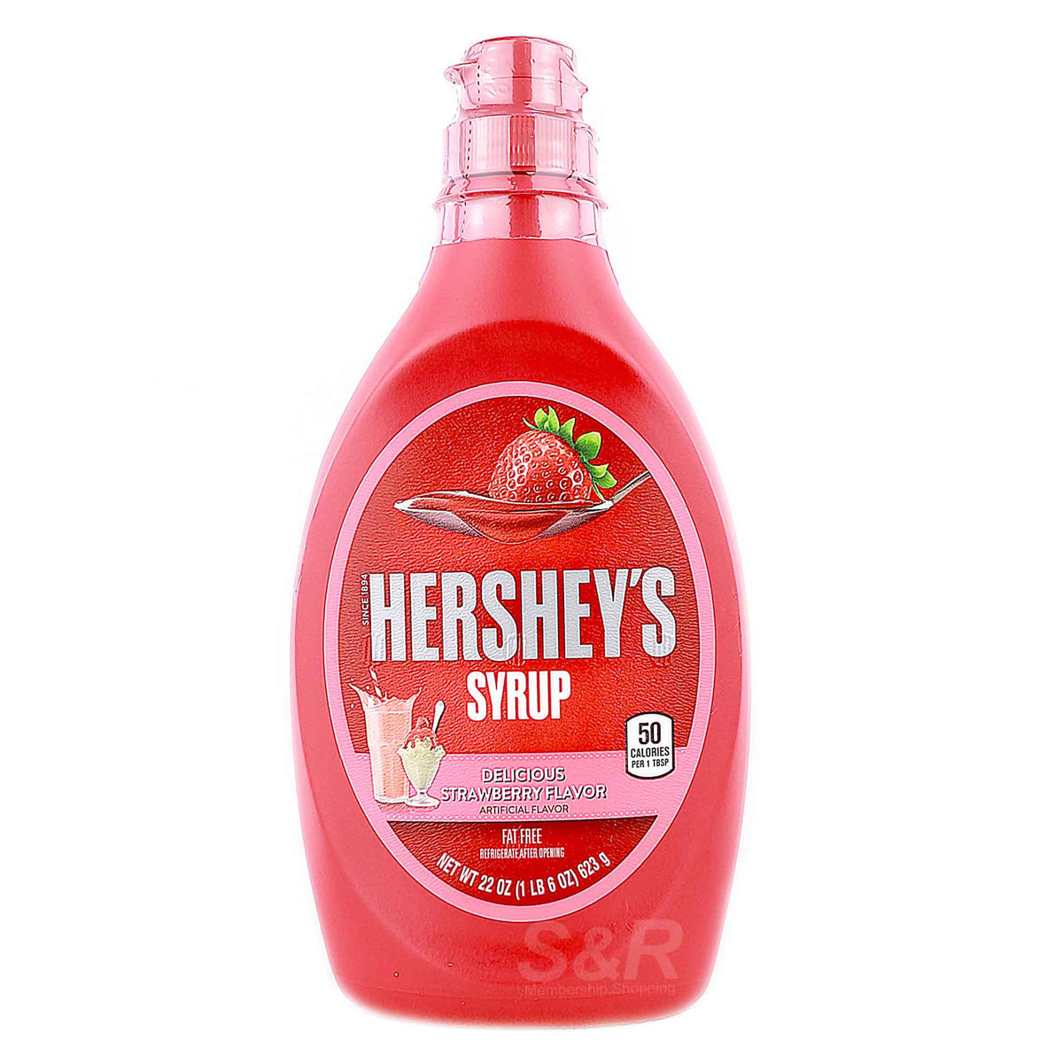 Hershey's Syrup 523g x 24 – promiselandmart